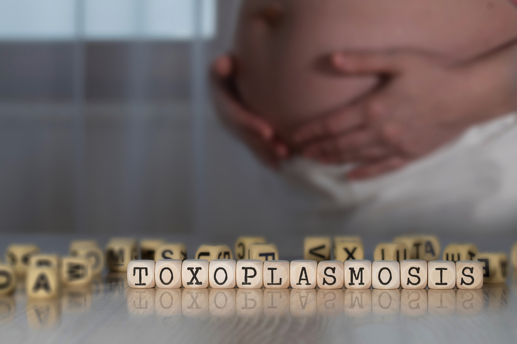 Toxoplasmose : Qu'est-ce que c'est, symptômes et propagation ? Quels ...