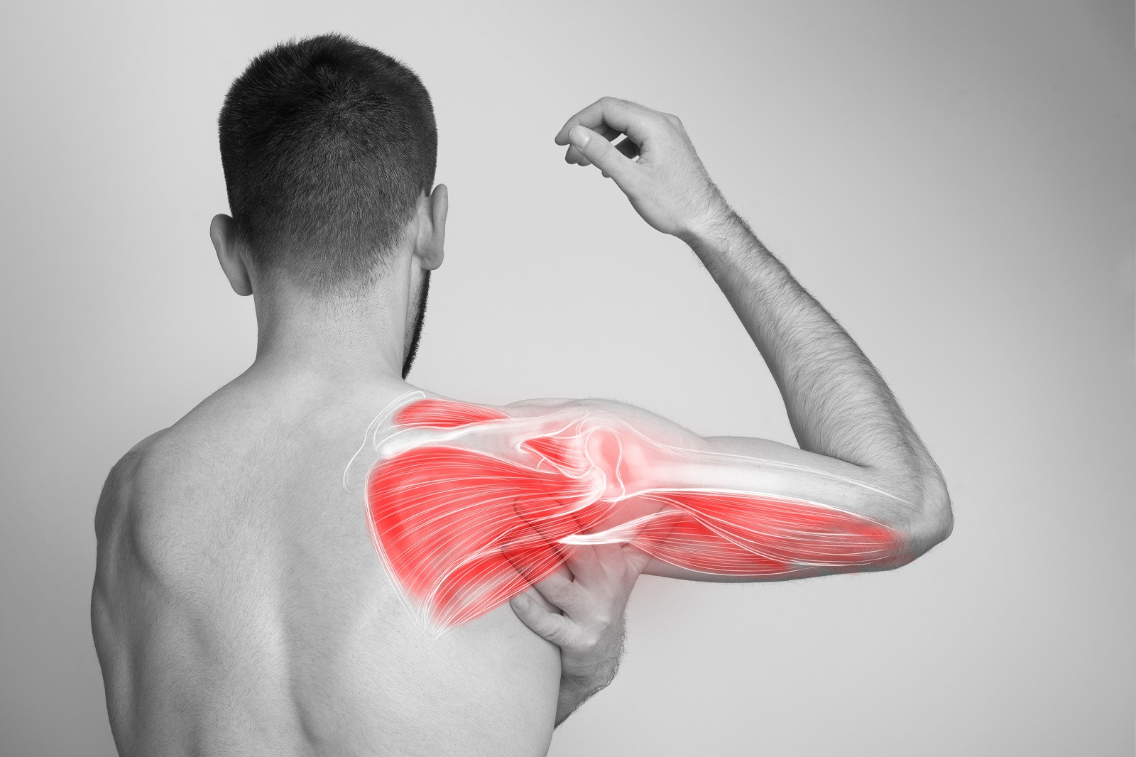 Douleurs musculaires, dans l'ensemble du corps et dans les muscles des ...